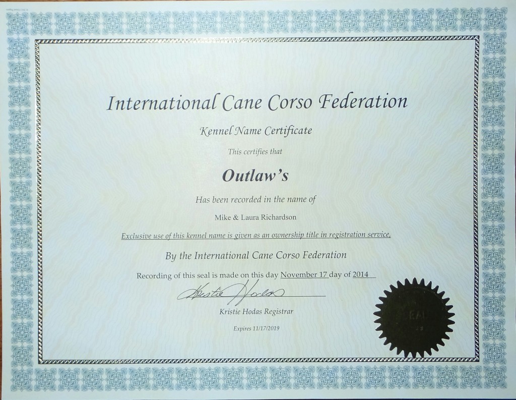 Outlaw Cane Corso- Cane Corso Breeders - ”True” Cane Corso.