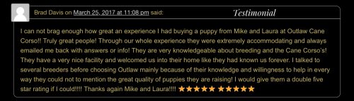 Outlaw Kennel - Cane Corso Puppies for sale - The Outlaw Bloodline!