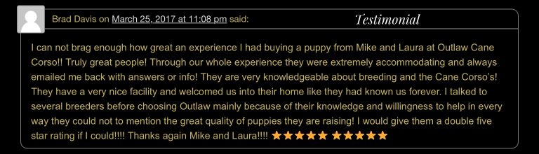 Outlaw Kennel - Cane Corso Puppies for sale - The Outlaw Bloodline!