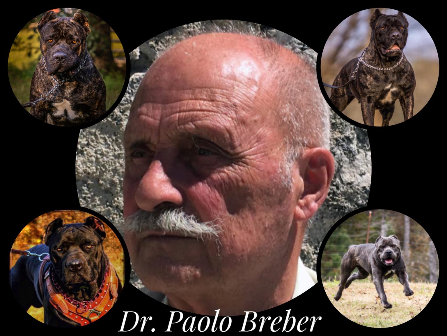 Dr. Paolo Breber interview - Outlaw Kennel